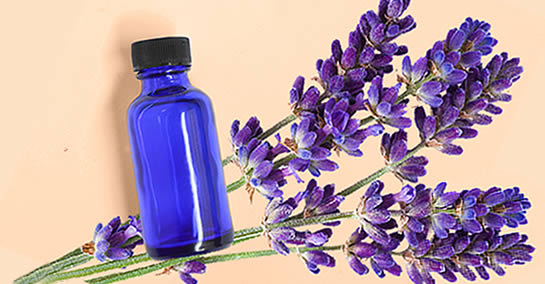 5 incredibili usi terapeutici della lavanda che non conoscevi