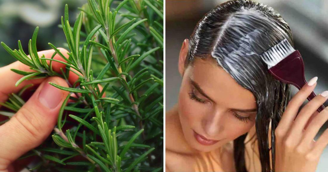 Trucco col rosmarino per scurire i capelli e nascondere i capelli bianchi