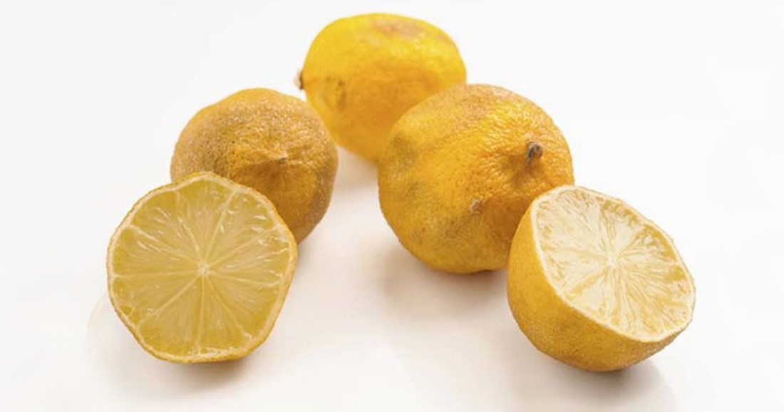 Ecco cosa fare con i limoni vecchi: non vanno buttati, valgono tantissimo