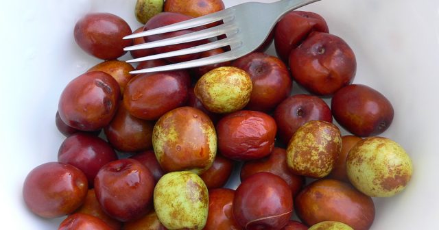 Giuggiole: che gusto hanno, come si consumano e tutti i loro benefici